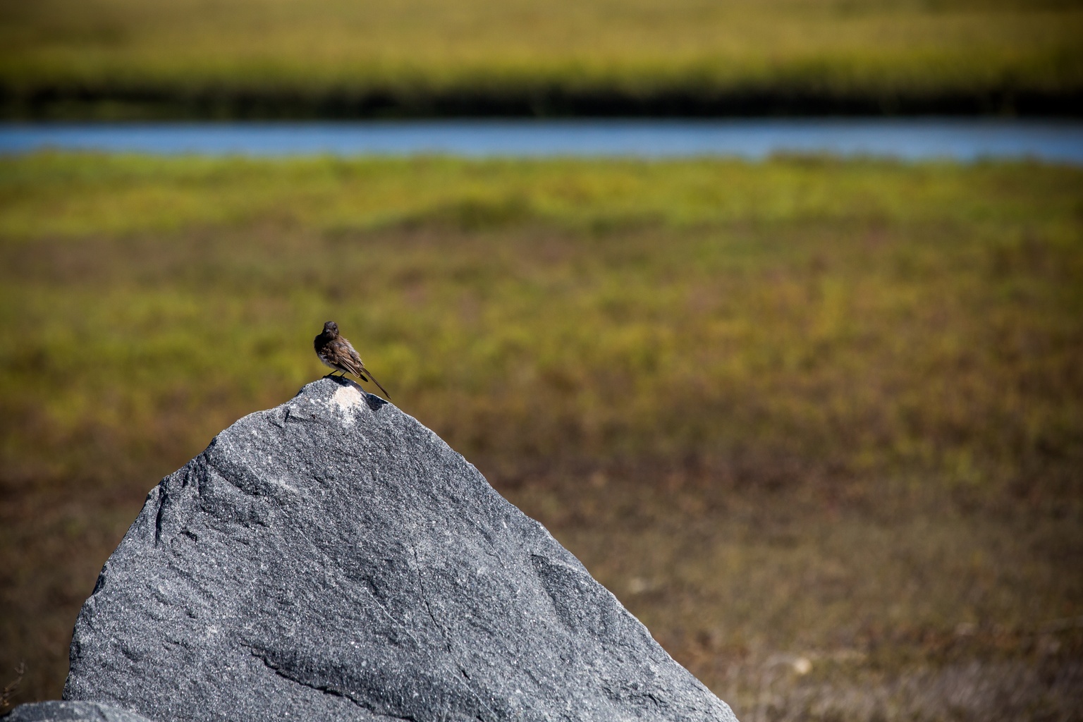 Tijuana Slough National Wildlife Refuge