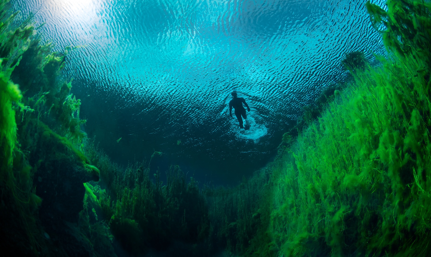 Piccaninnie Ponds Conservation Park