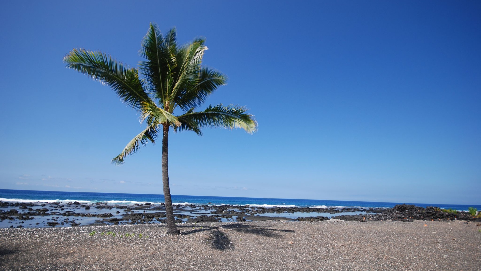 Lone Palm Trail (Keawaiki Bay to ʻAnaehoʻomalu Bay)