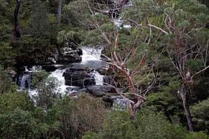 Barrington Tops National Park