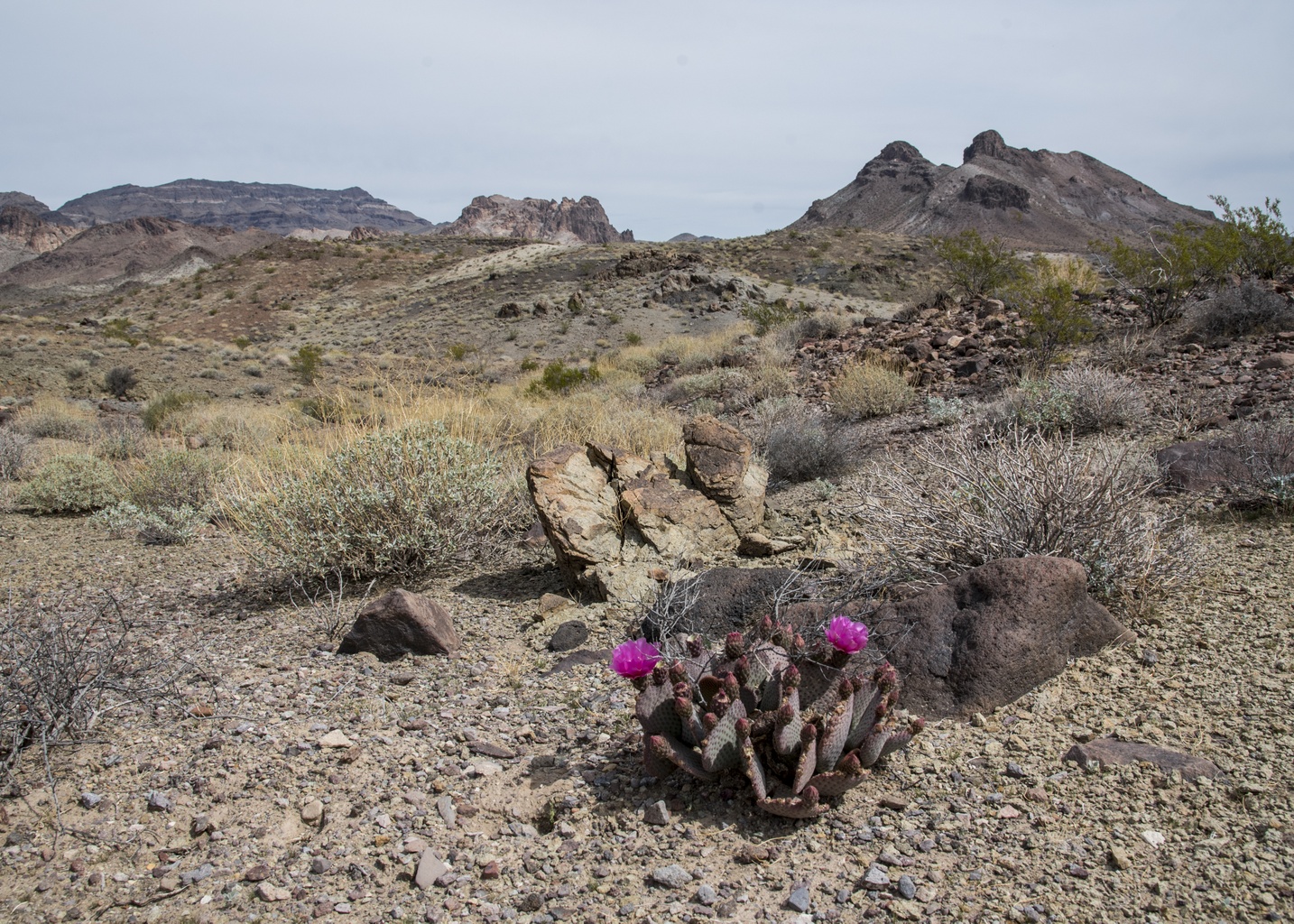 Clipper Mountain Wilderness