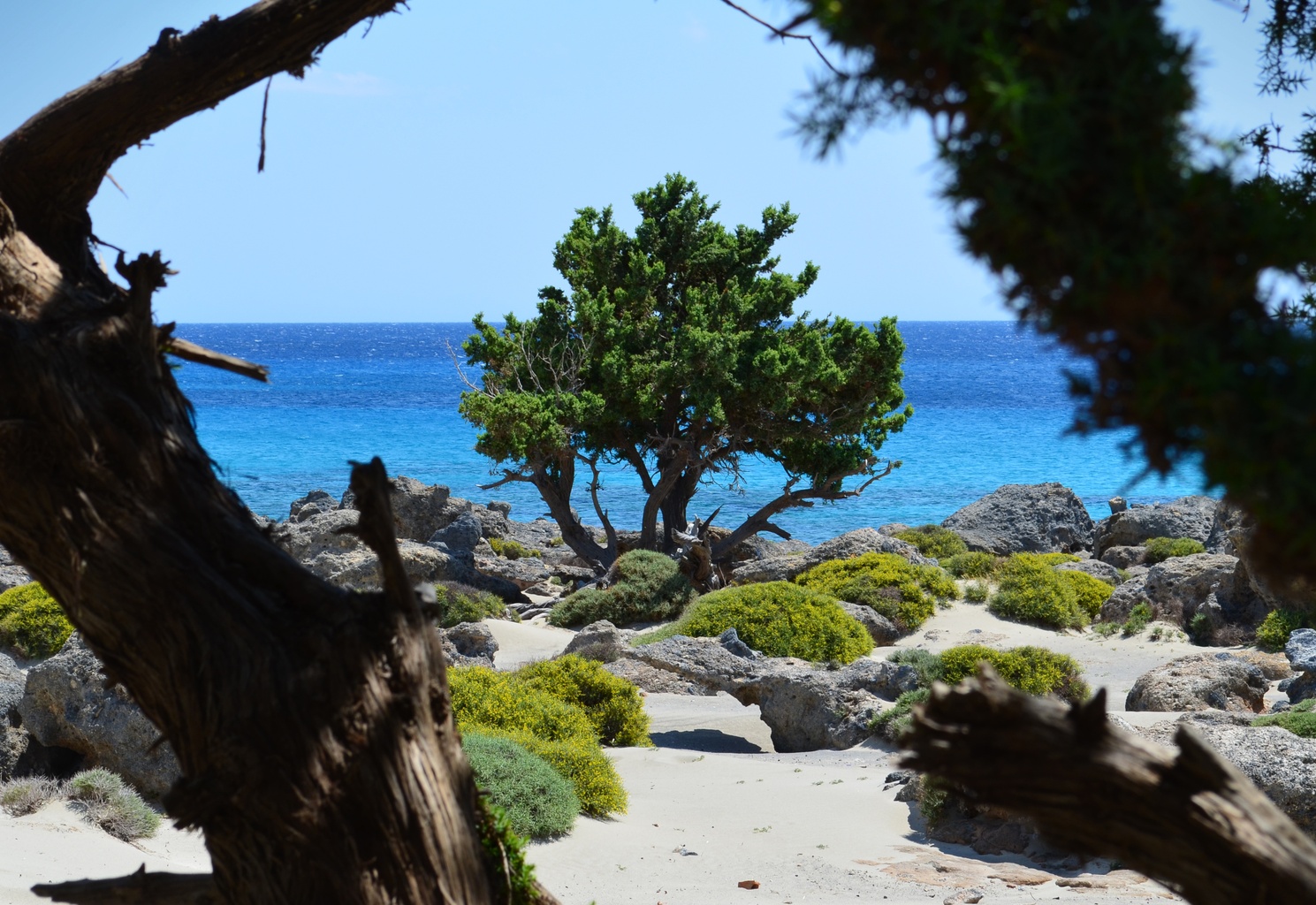 Kedrodasos (Cedar Forest)