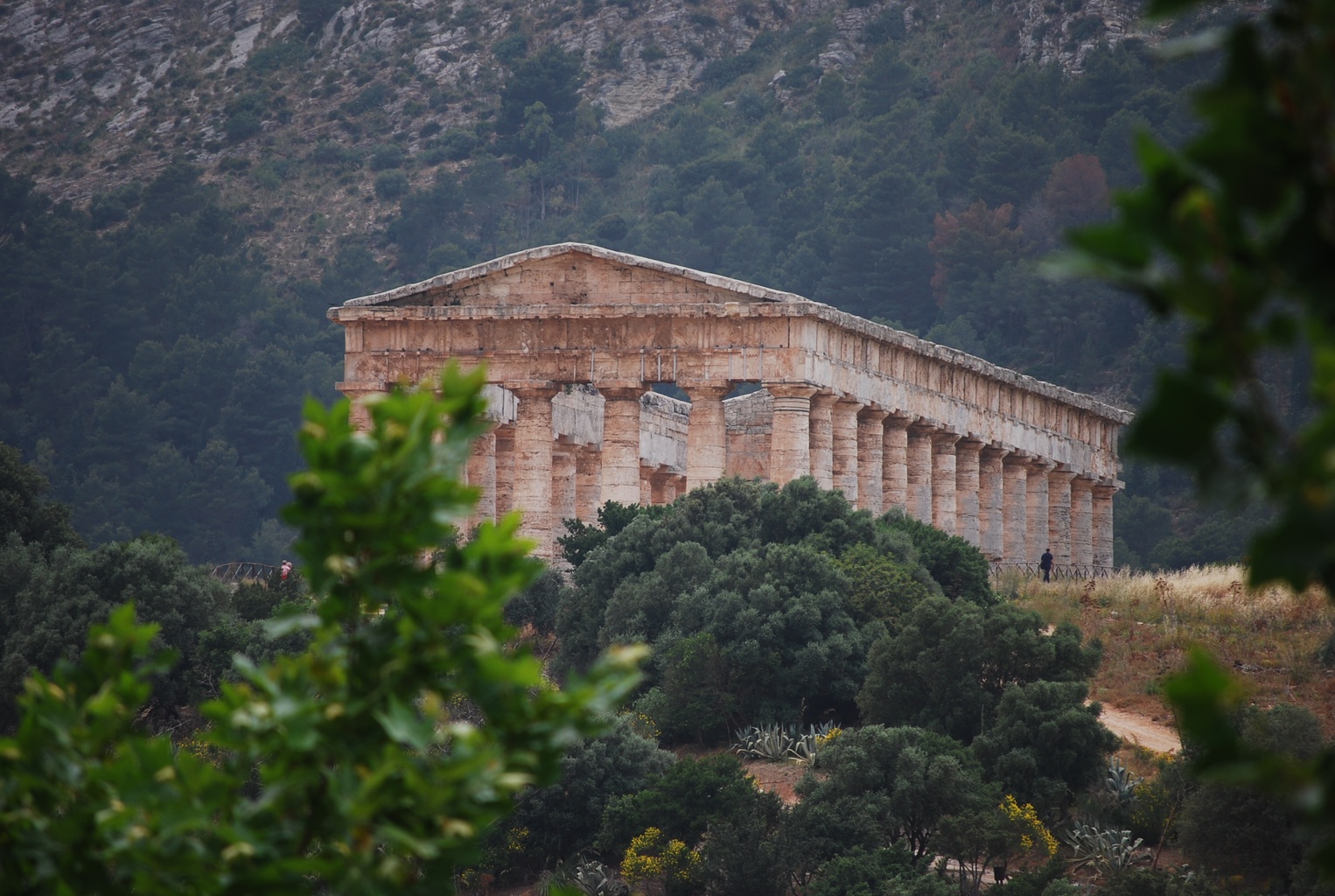 Segesta