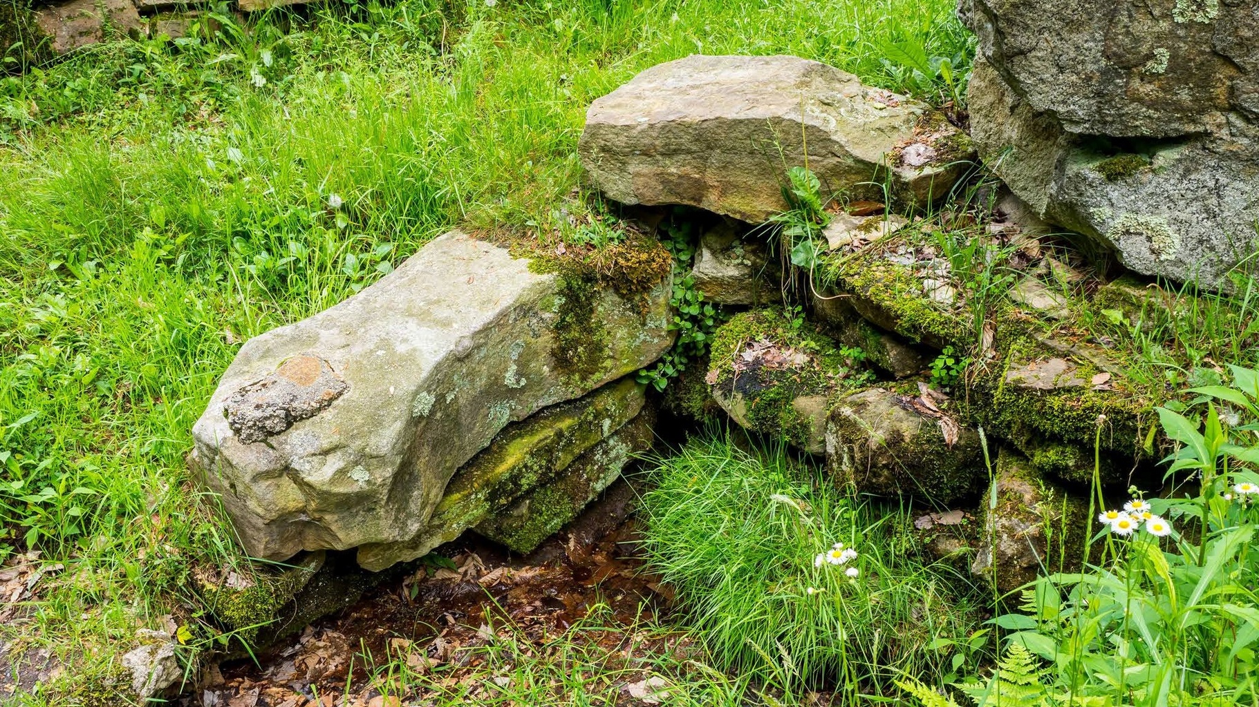 Fairfax Stone Historical Monument State Park