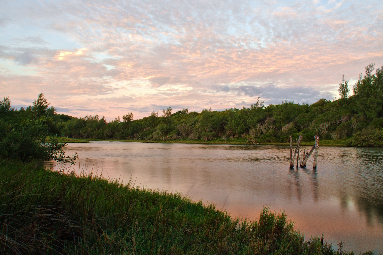 Spittal Pond Nature Reserve