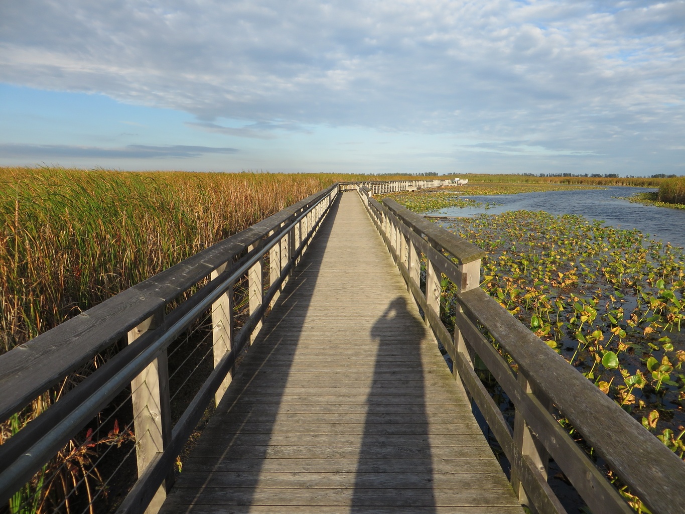 Point Pelee National Park