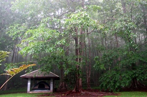 Kalopa State Recreation Area