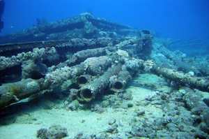 Yolanda Wreck