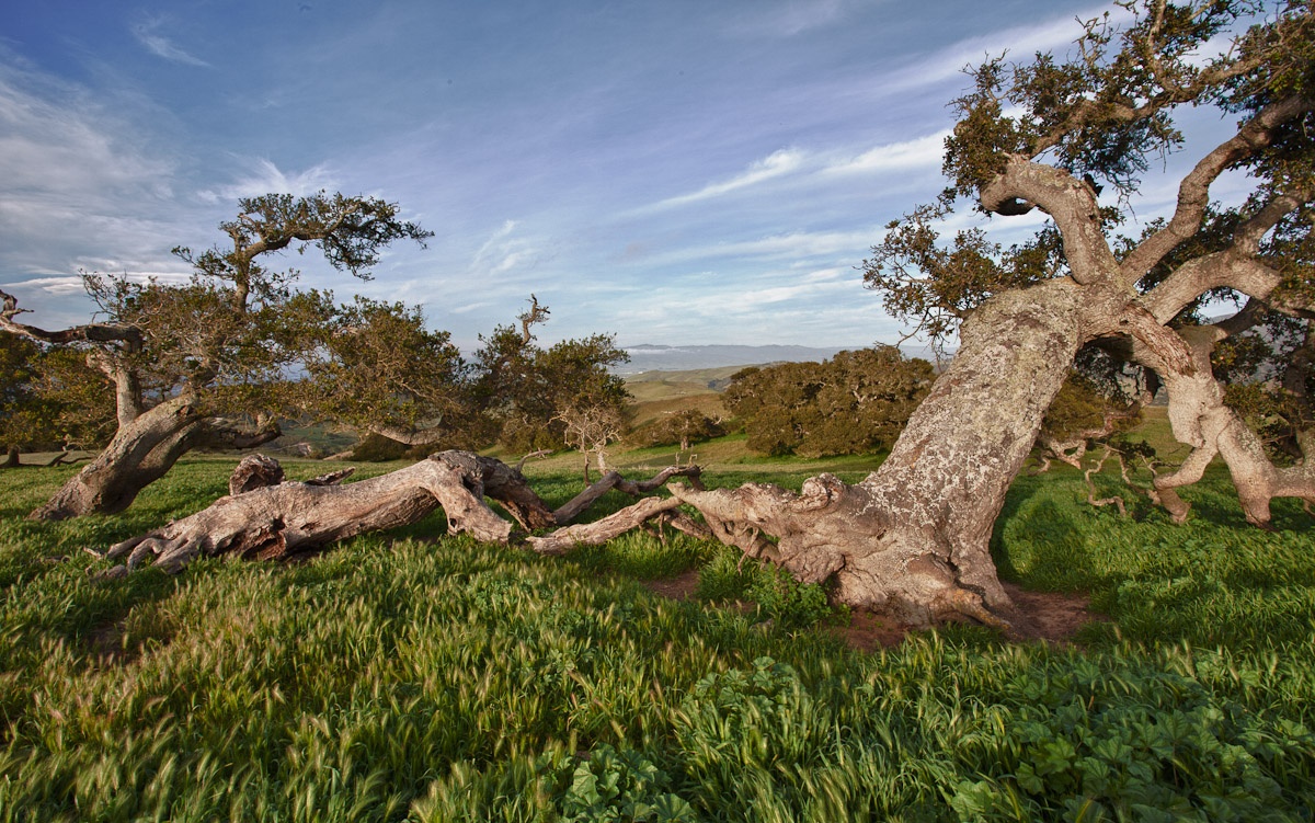 Fort Ord National Monument