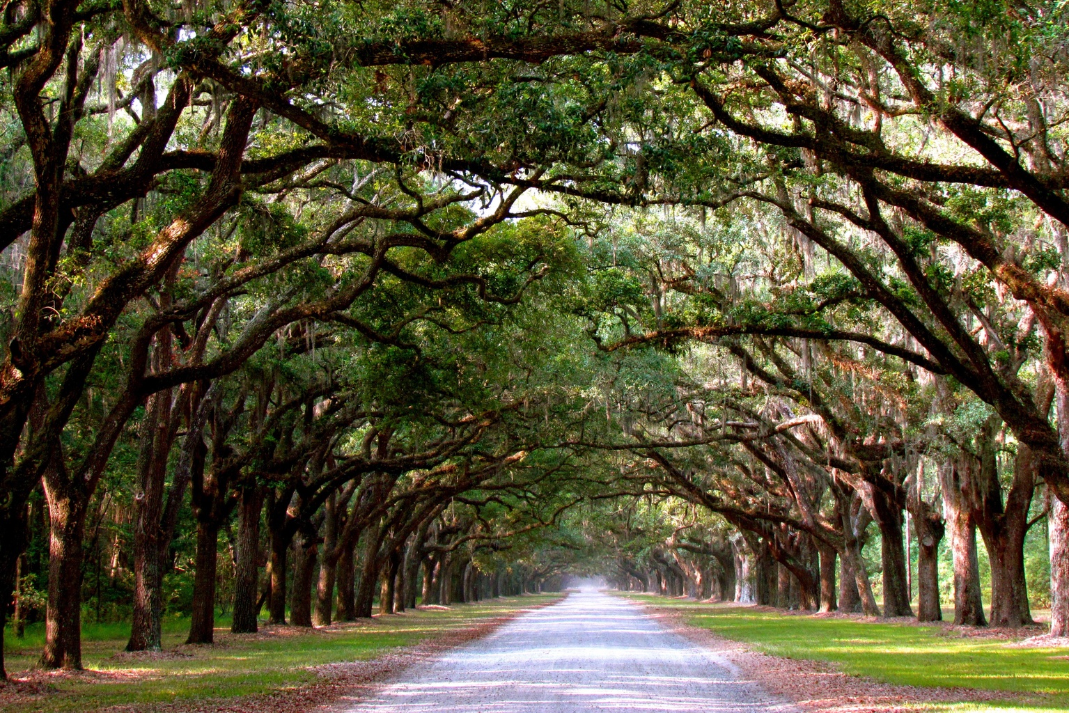 Wormsloe Historic Site