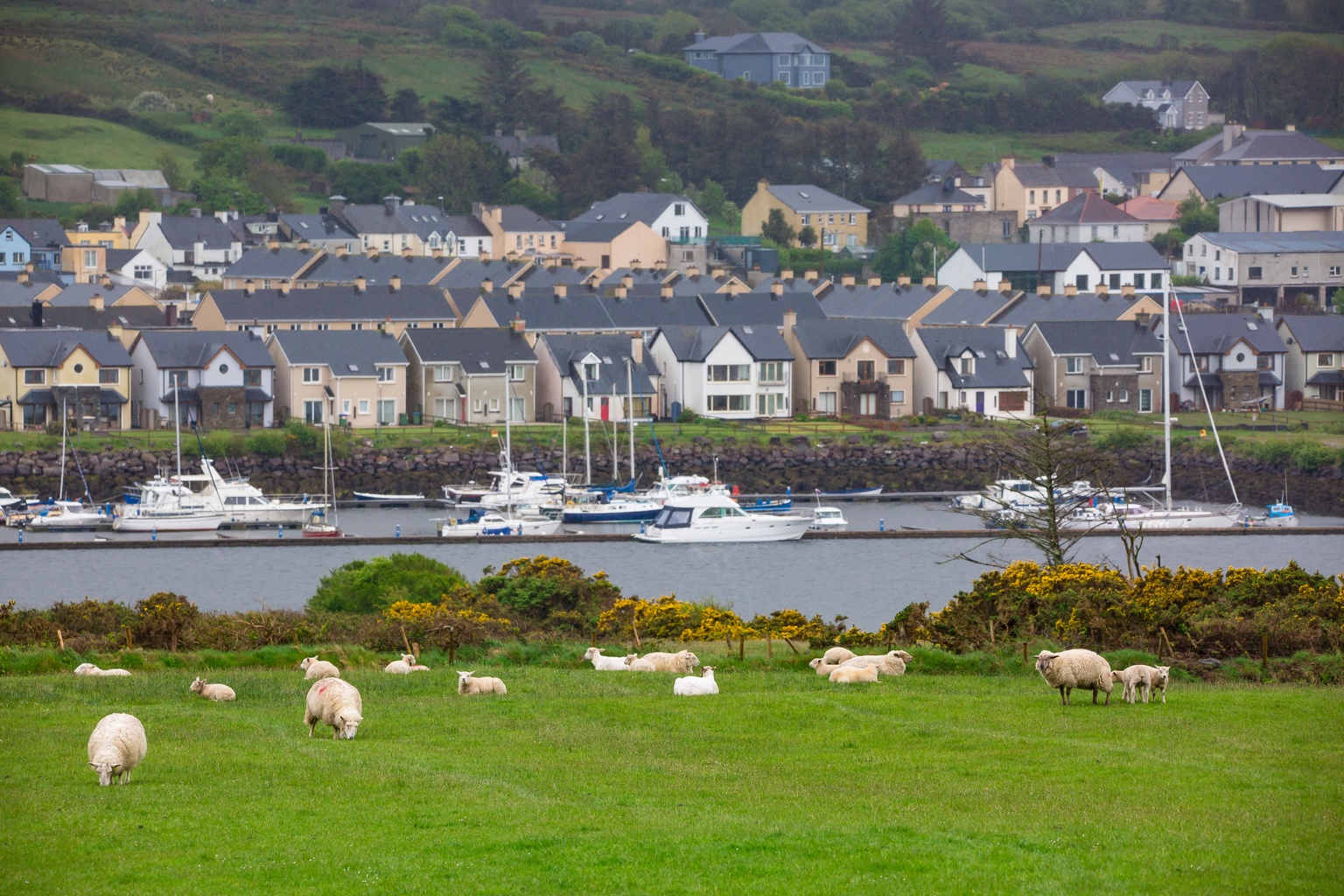 Portmagee