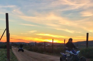 ATVs at Off Road Tours Valle de Guadalupe