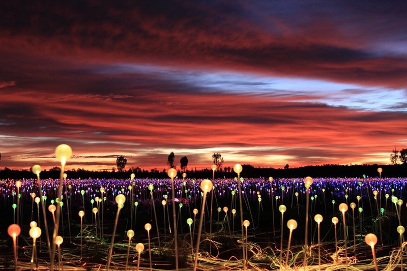 Field of Light