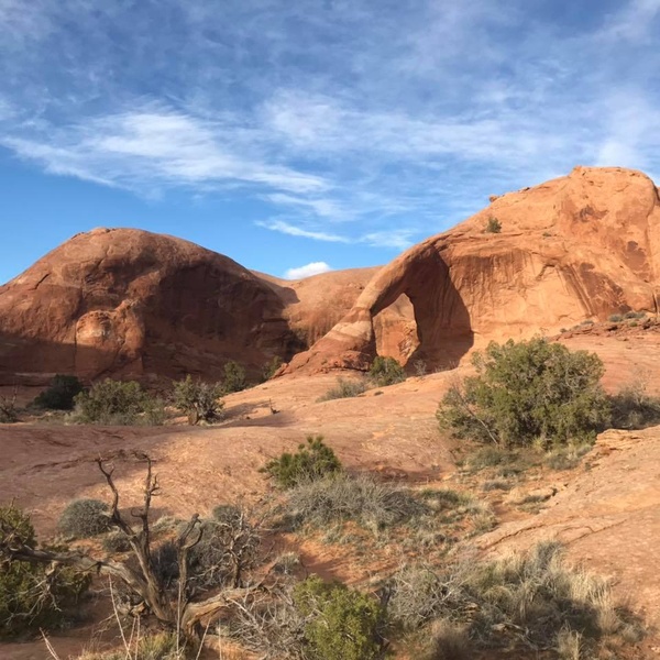 Funnel Arch (Cable Arch)