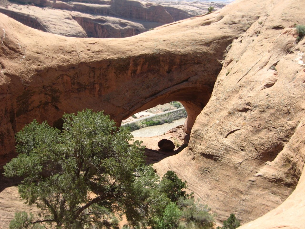 Little Arch
