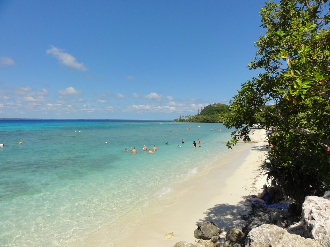 Lifou Island
