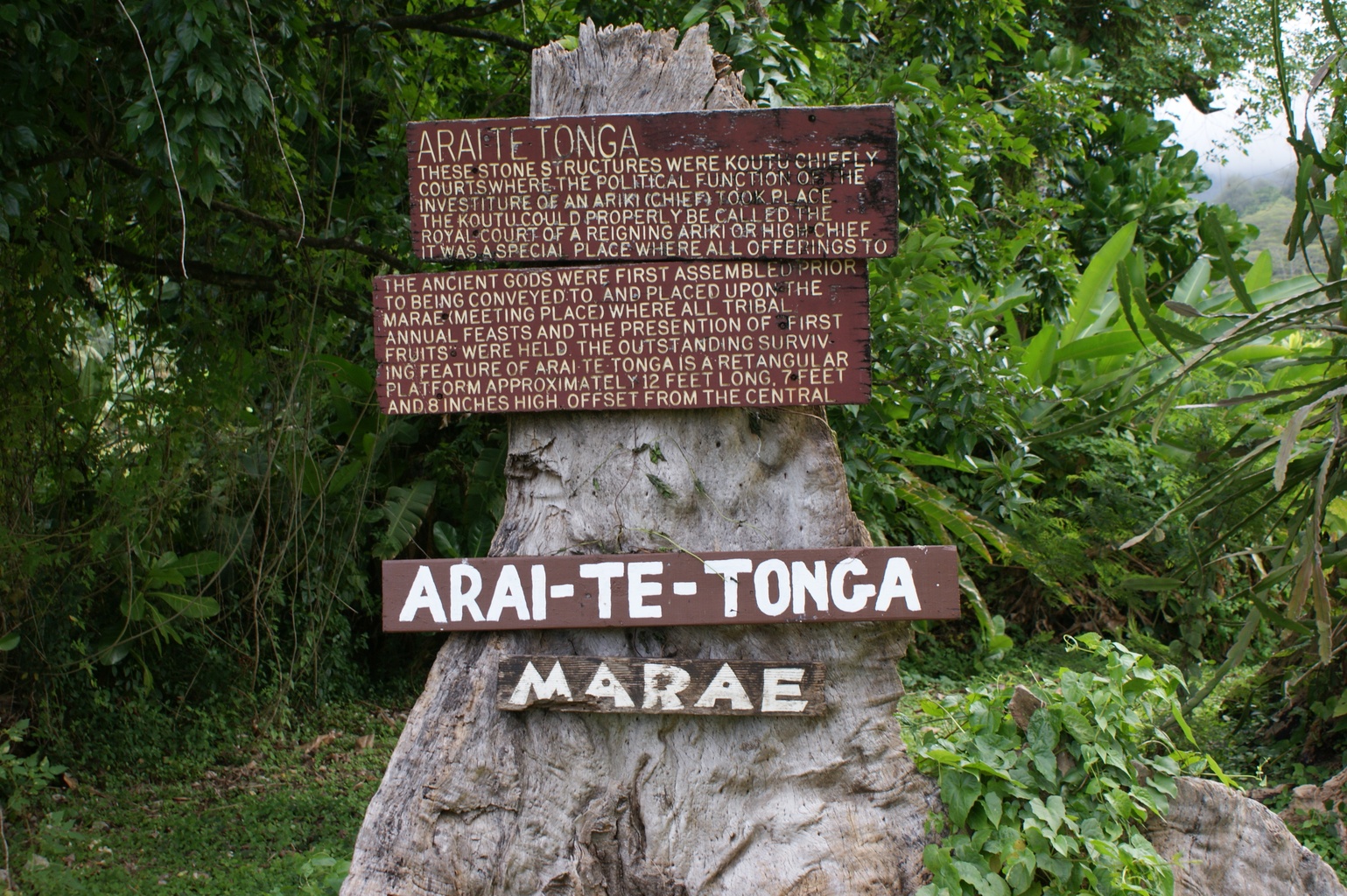 Arai-Te-Tonga