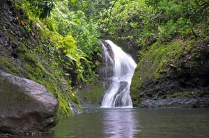 Papua ( Wigmore's) Waterfall