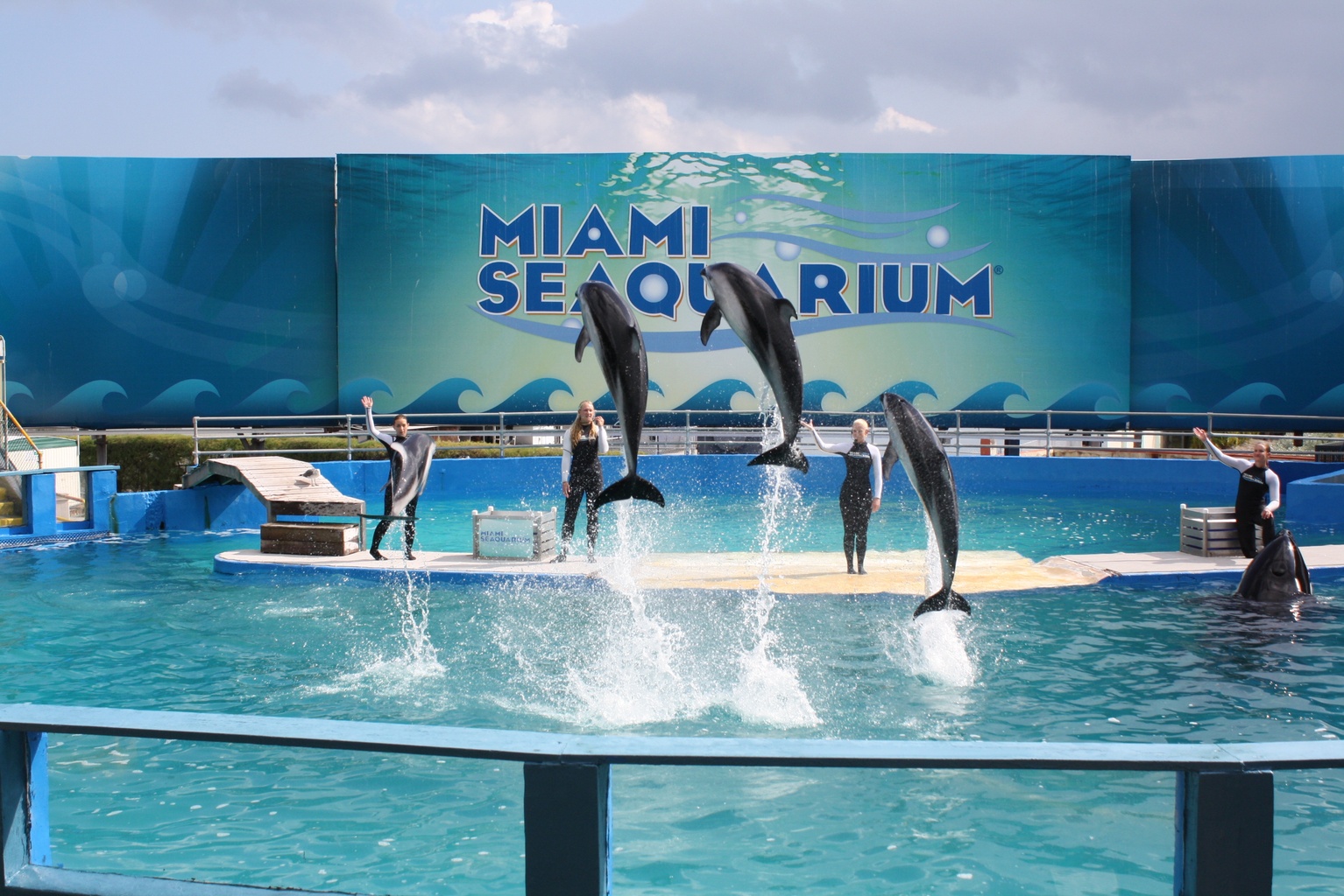 Miami Seaquarium