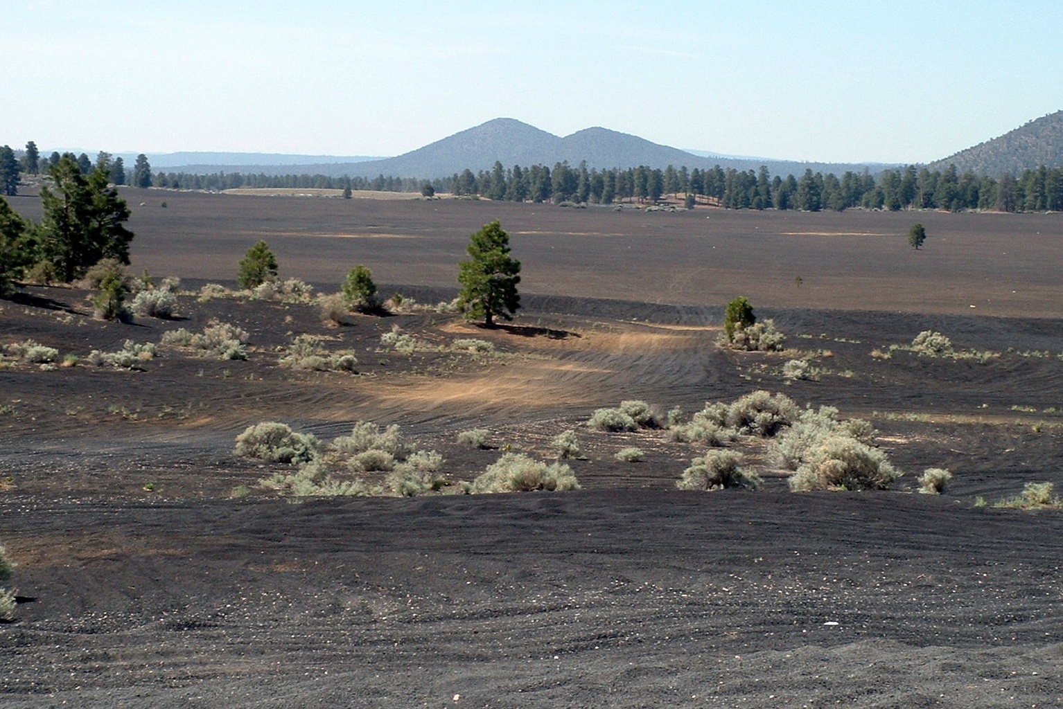 Cinder Lake Crater Field
