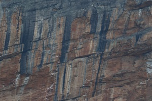 Taipan Wall