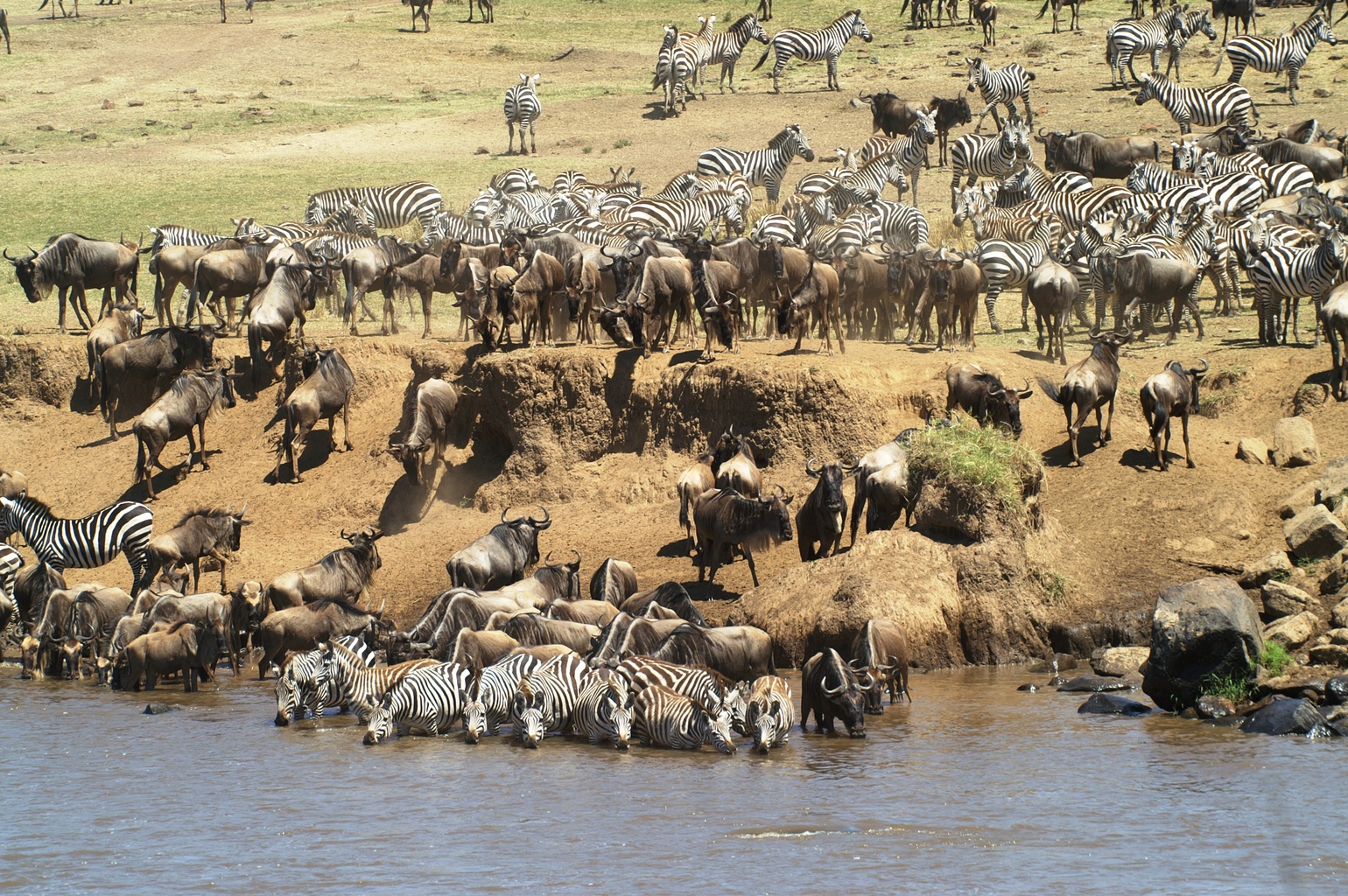 The Great Migration