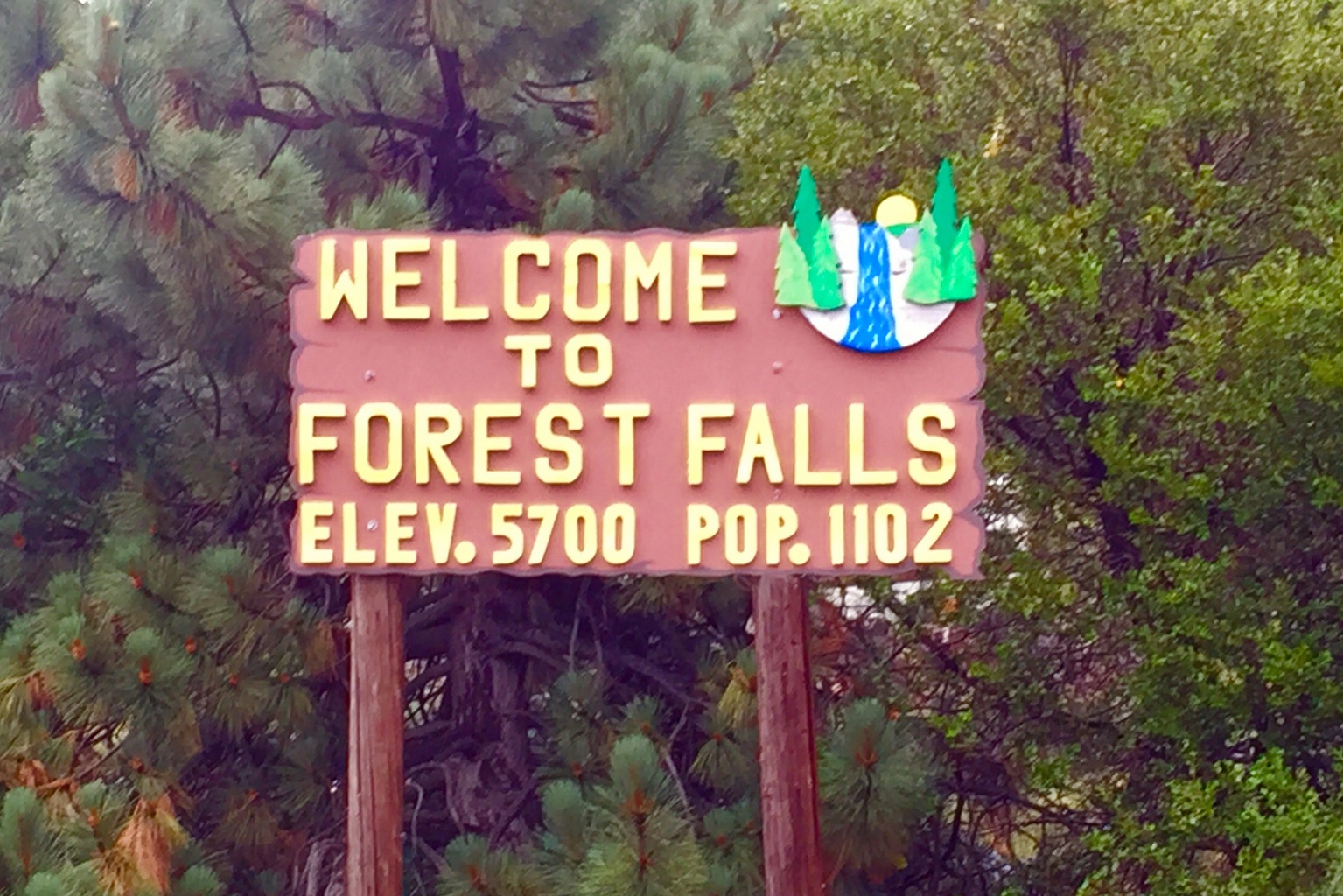 Forest Falls