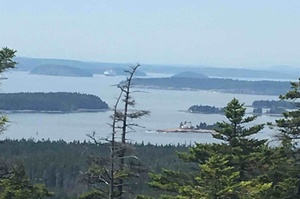 Schoodic Head Trail