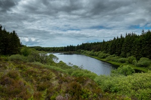 Cliffs of Magho & Lough Navar Forest