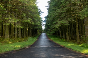 Cliffs of Magho & Lough Navar Forest
