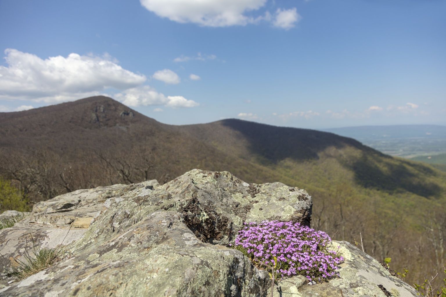 Crescent Rock Overlook