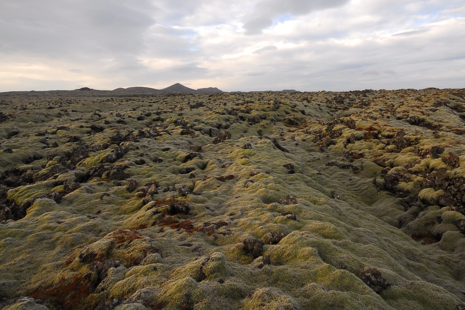 Reykjanes Geopark