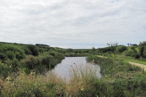 Anne Valley Walk