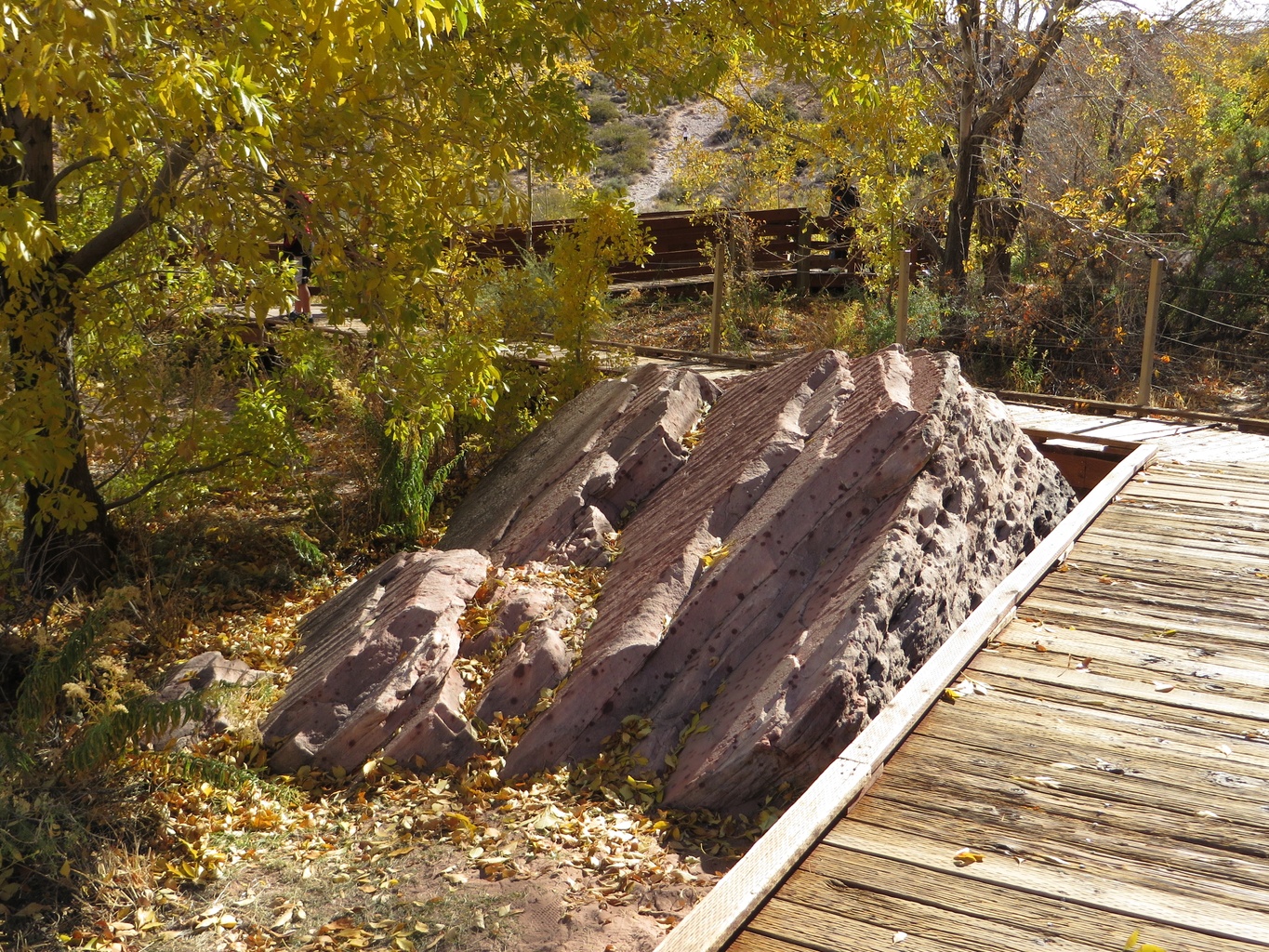 Red Spring Picnic Area
