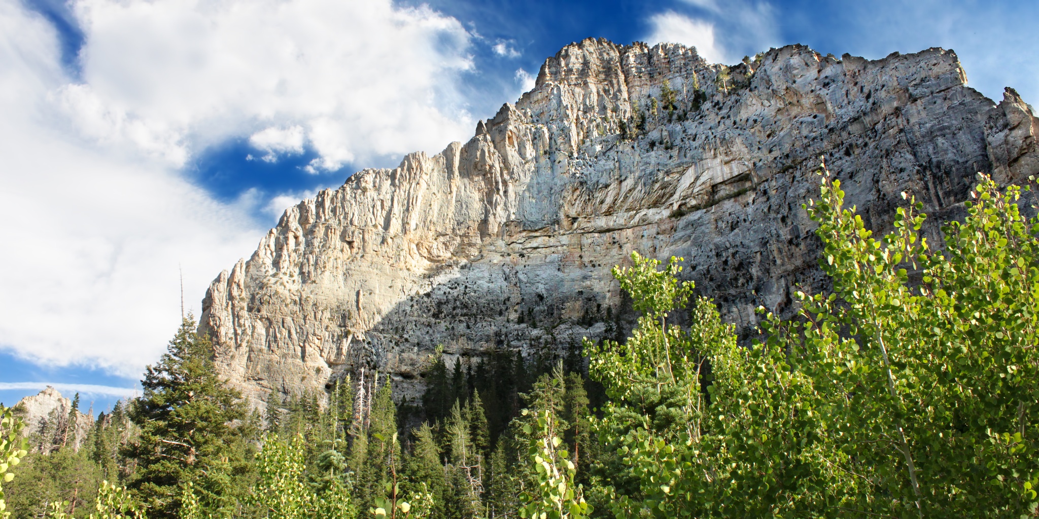 Spring Mountains National Recreation Area (SMNRA)