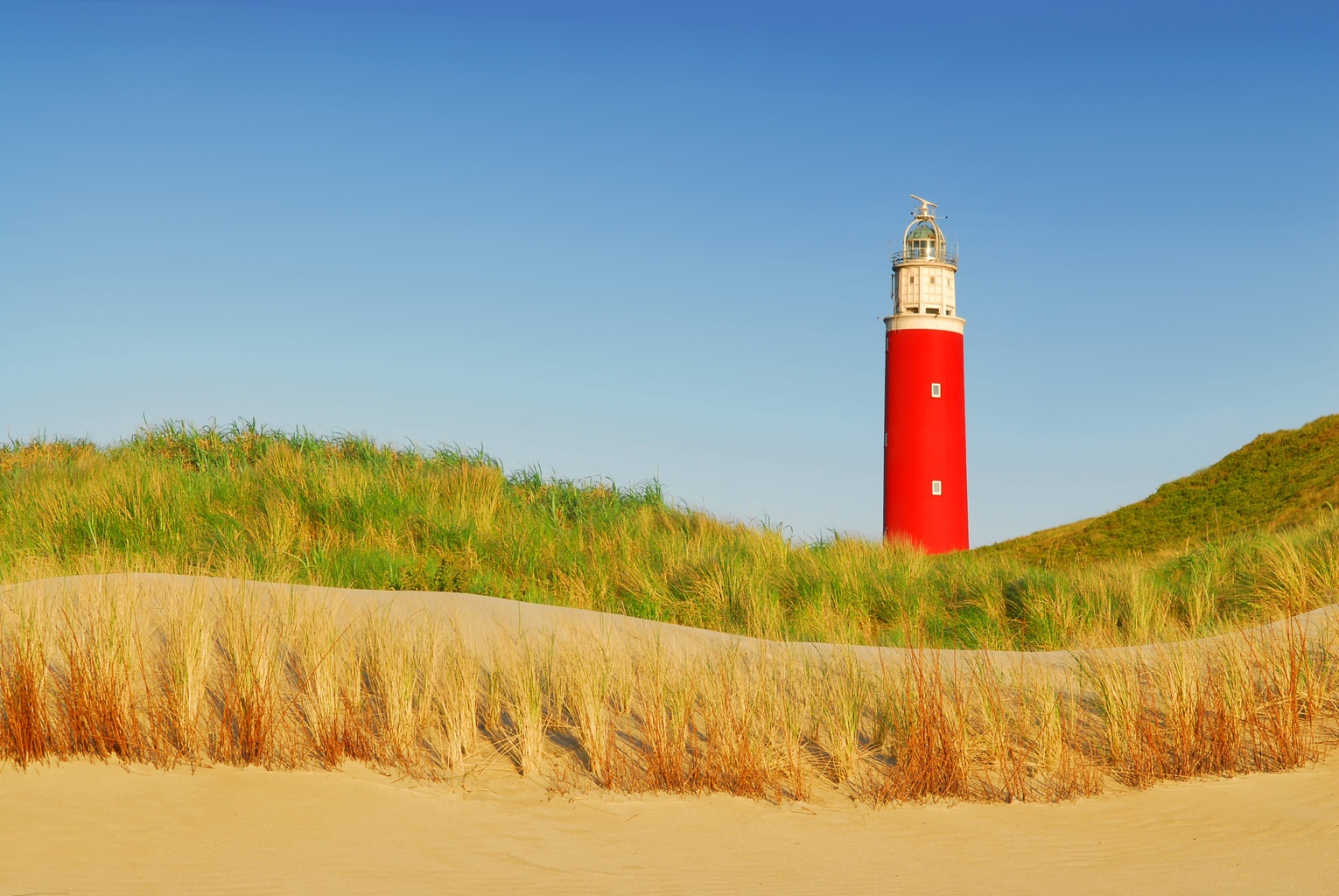 Texel