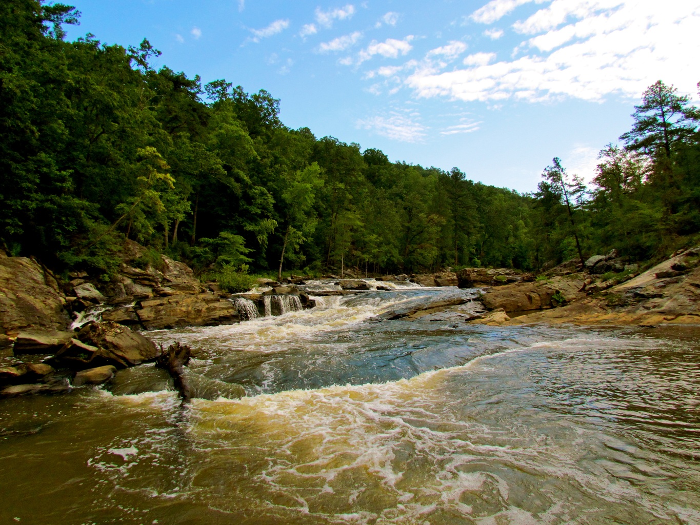 Sweetwater Creek State Park