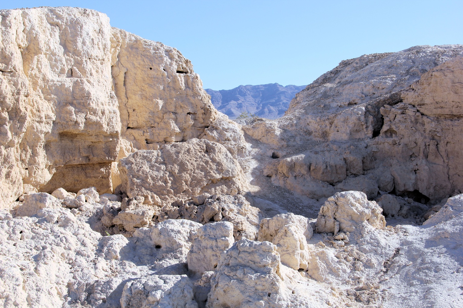Tule Springs Fossil Beds National Monument
