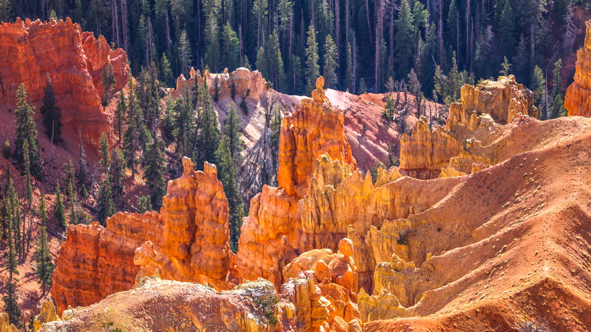 Cedar Breaks National Monument