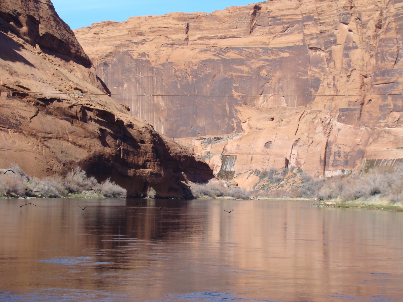 NPS Plan Approved to Protect Native Aquatic Species in the Colorado River