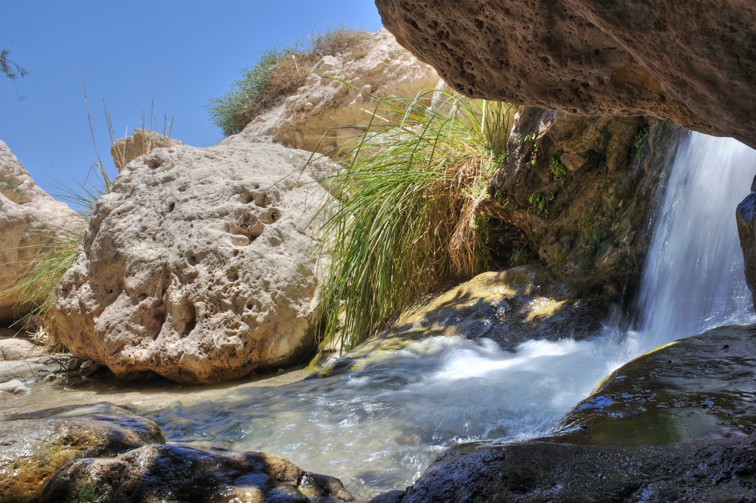 Ein Gedi Nature Reserve