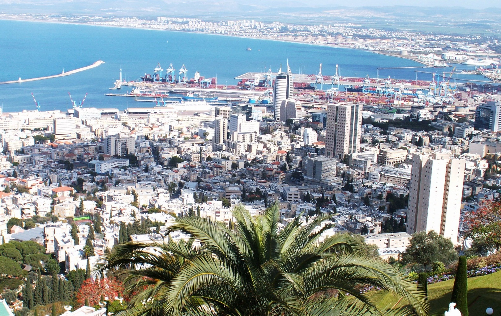 Haifa