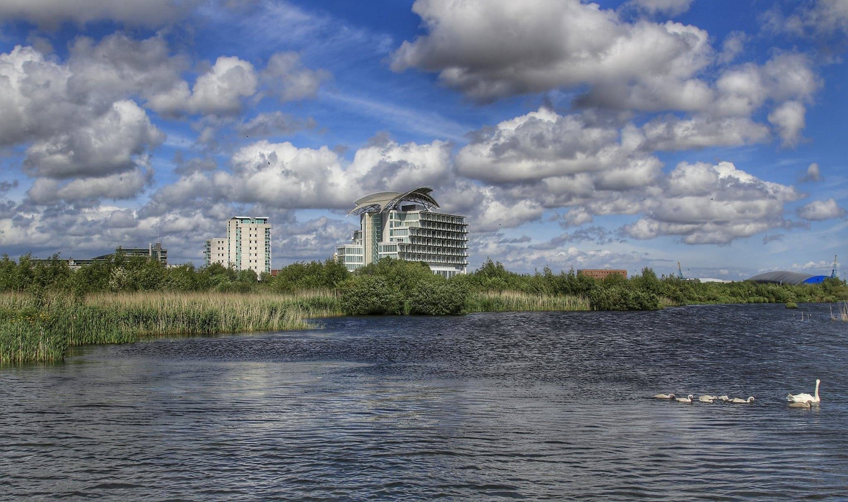 Cardiff Bay Wetlands Reserve
