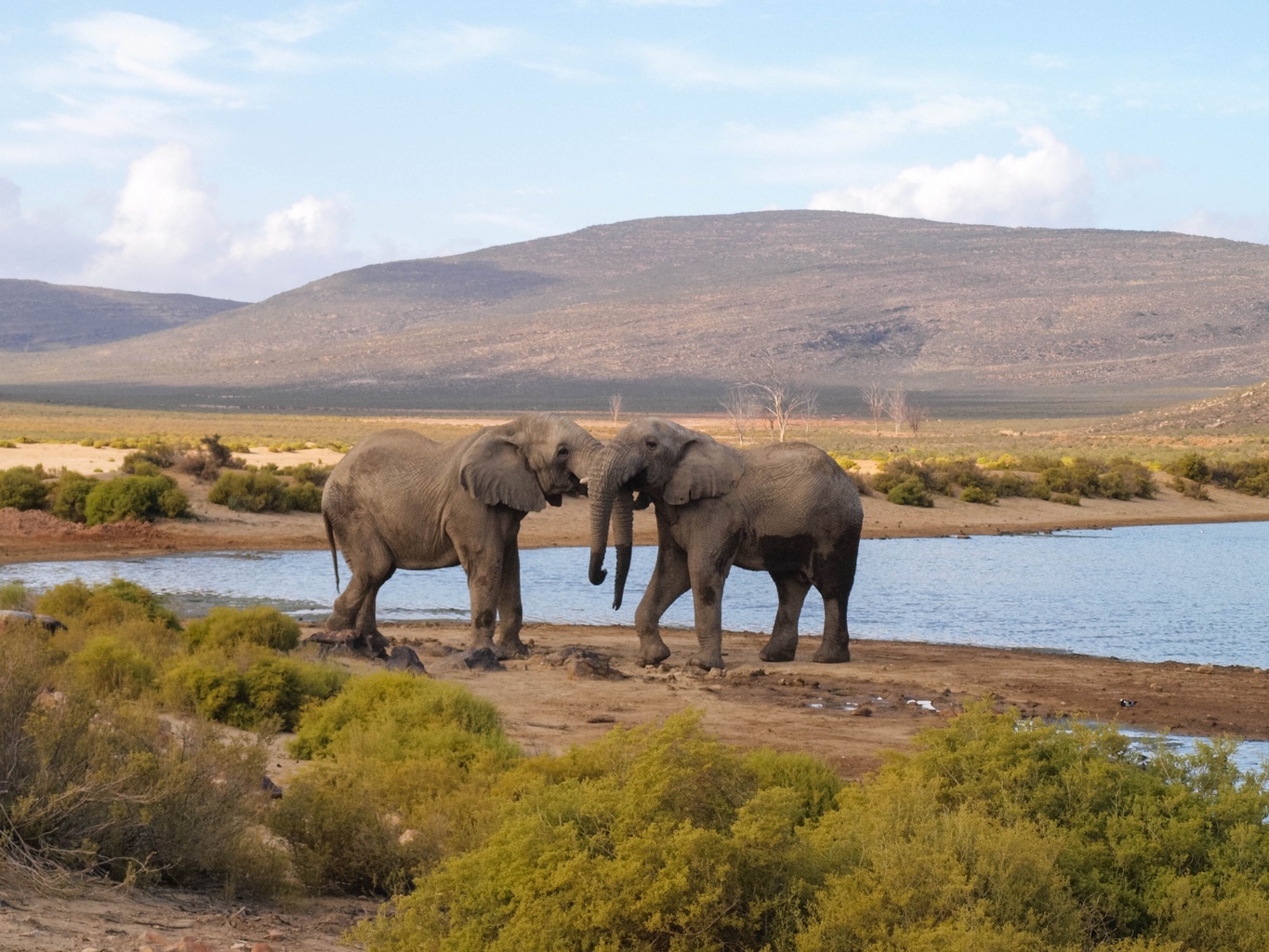 Aquila Private Game Reserve