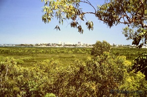 Charles Darwin National Park