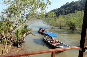 Bako National Park