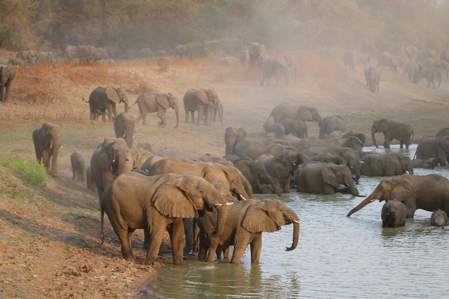 Zakouma National Park