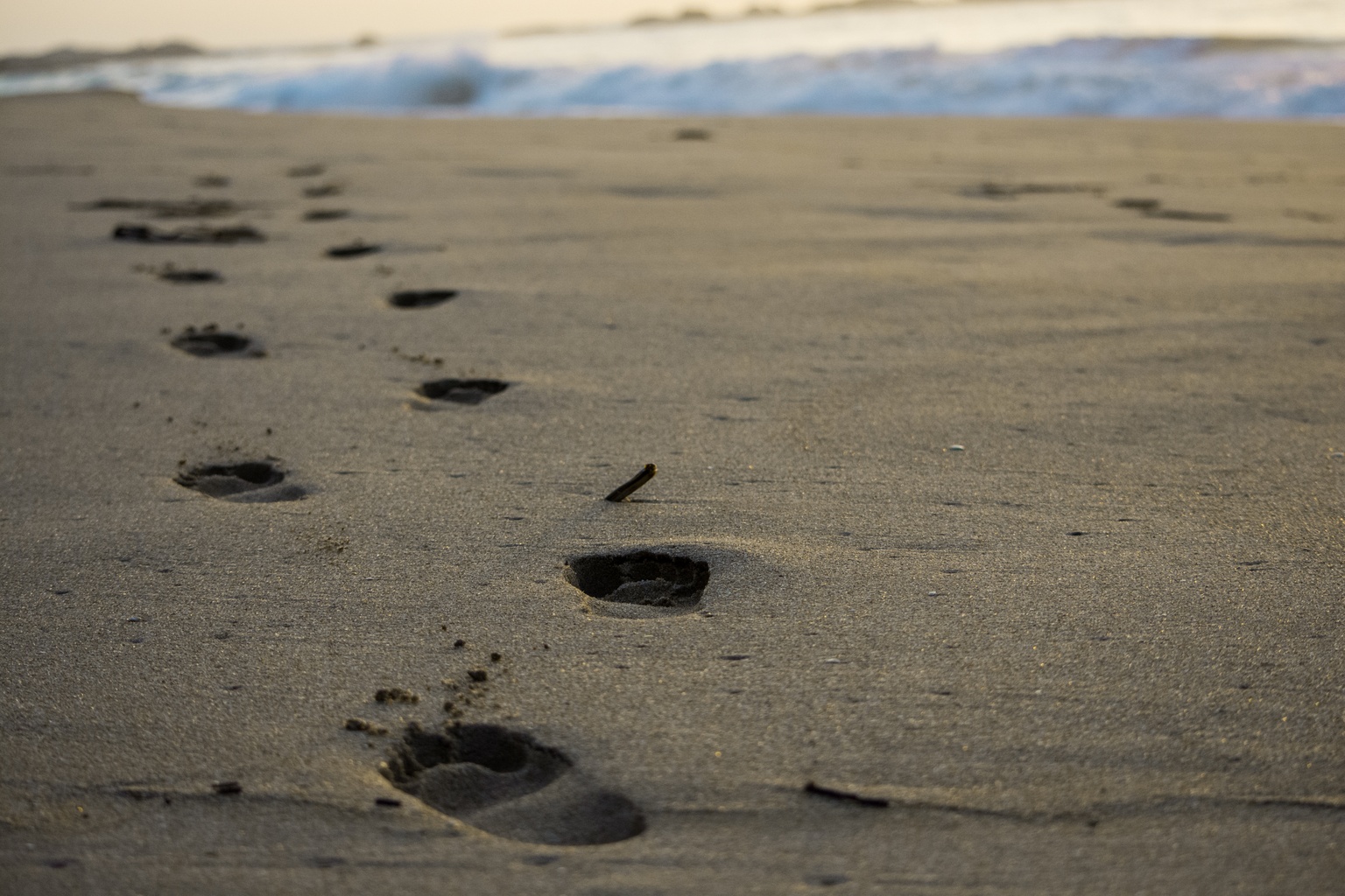 Alankuda Beaches