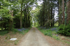 John F. Kennedy Arboretum