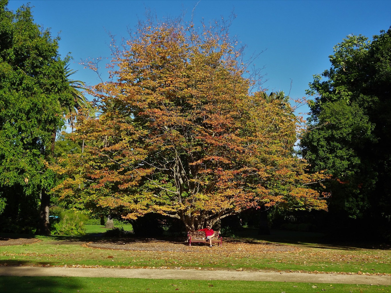 Camer Park Country Park